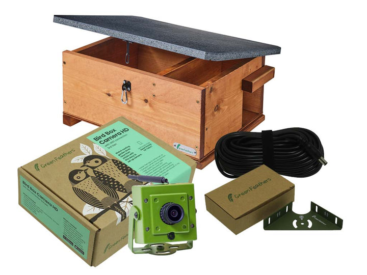 Discover our Hedgehog Box Camera Deluxe Bundle – Green Feathers