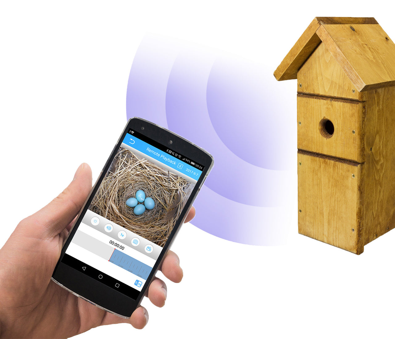WiFi Bird Box Wireless Camera - for Nest Box Footage | Green Feathers