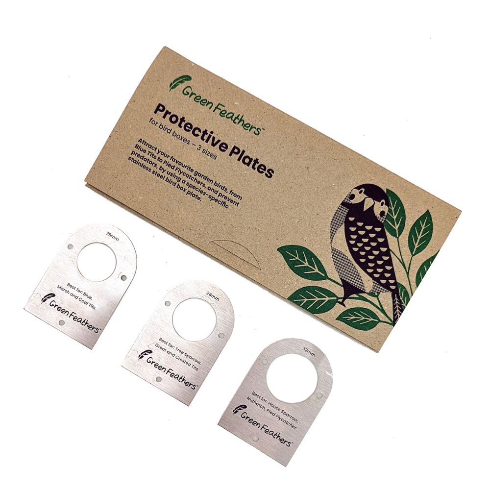 Bird Watching Accessories | Bird Box Accessories | Green Feathers