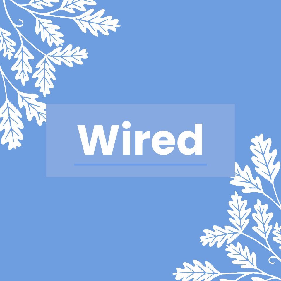 Wired TV Bird Box Camera Kits | Green Feathers