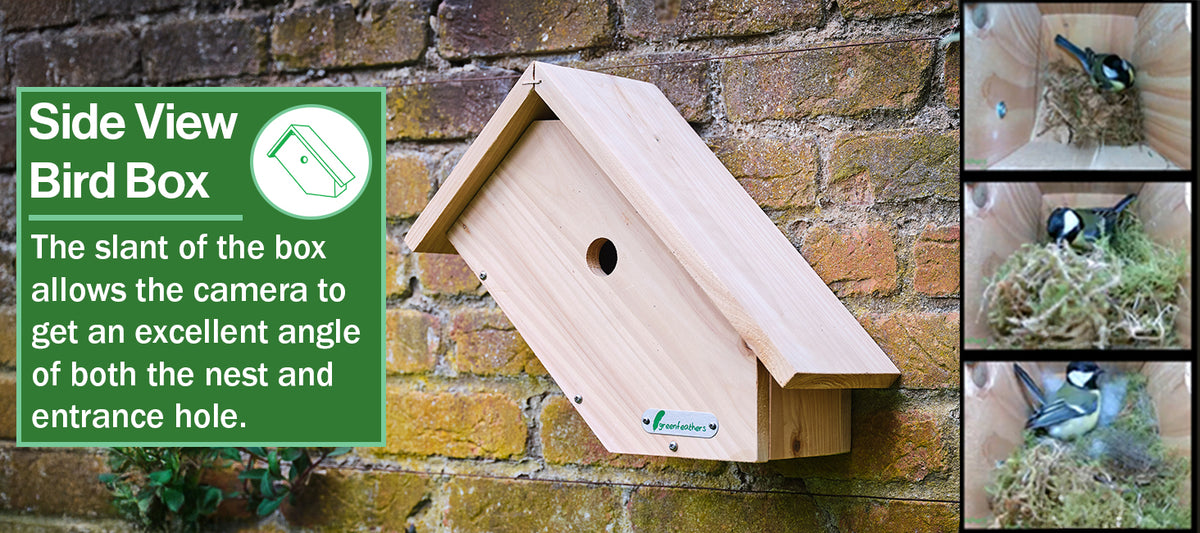WiFi Side View Bird Box Camera Ultimate Bundle | Green Feathers