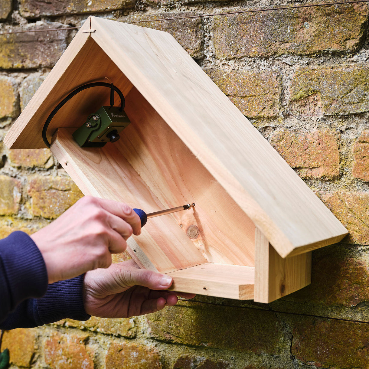 WiFi Side View Bird Box Camera Ultimate Bundle | Green Feathers