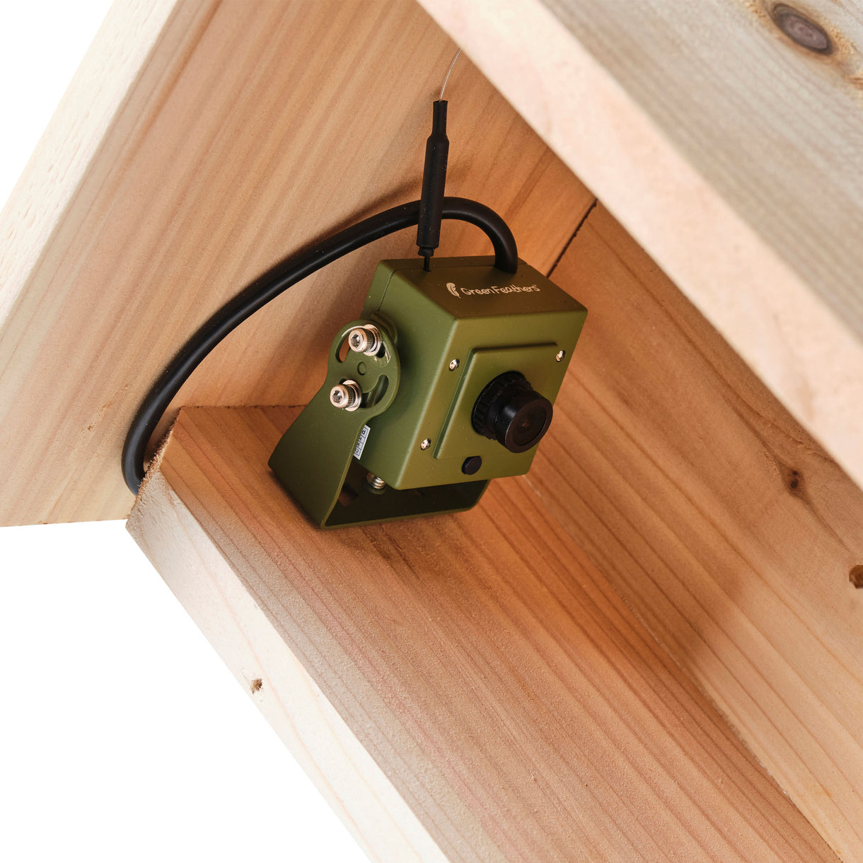 WiFi Side View Bird Box Camera Ultimate Bundle | Green Feathers