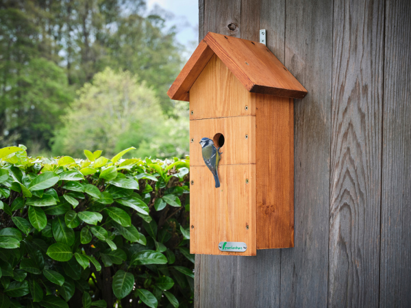 8 Tips The Best Place For Your Bird Box - When How & Where | Green Feathers