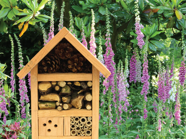 15 smallest British birds | Green Feathers