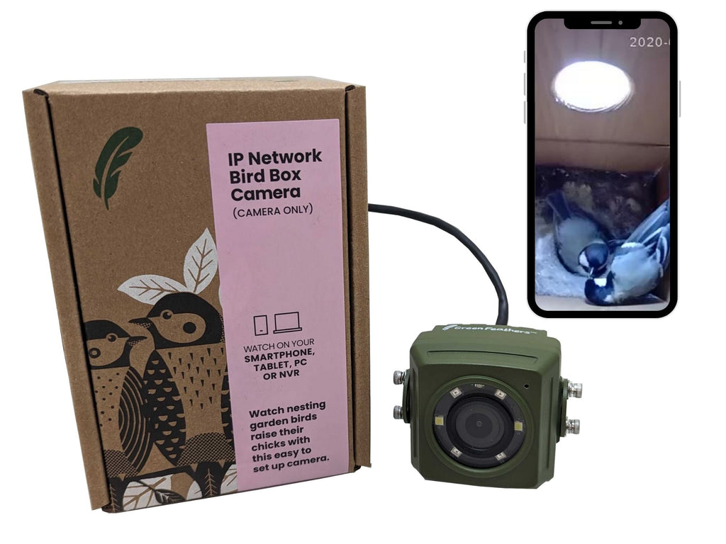 Long Range Wired Network Bird Box & Wildlife HD Camera | Green Feathers