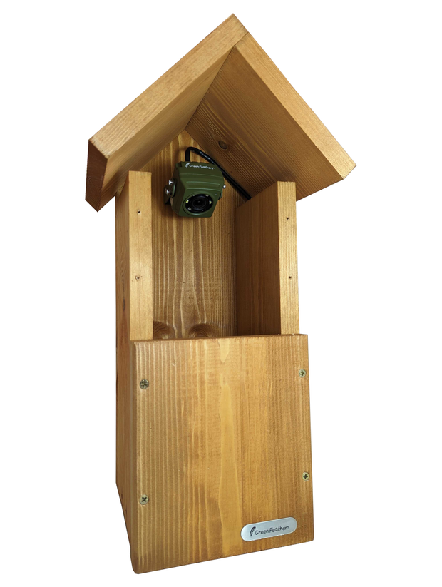 Long Range Wired Network Bird Box & Wildlife HD Camera | Green Feathers
