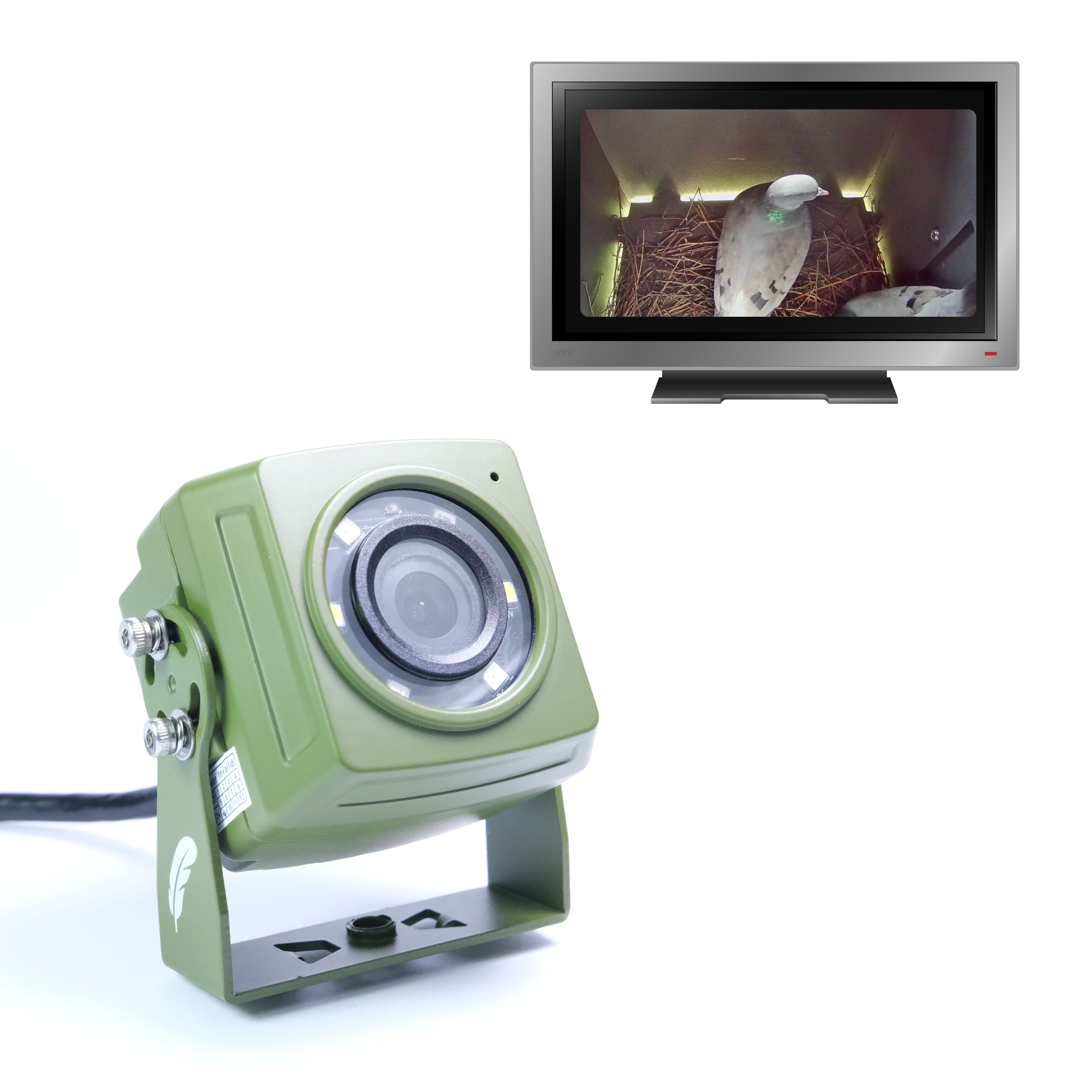 HD Bird Box Cameras | Watch Birds Nesting Live in HD - Green Feathers