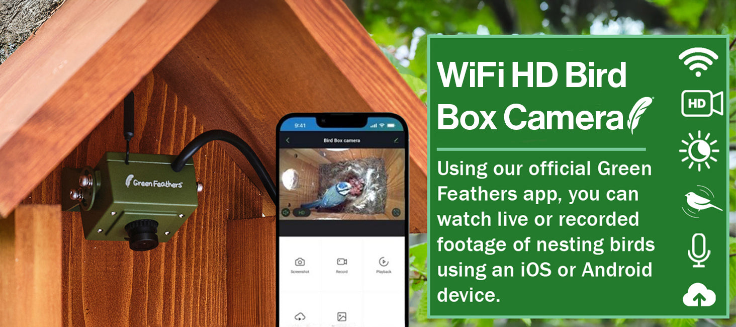 WiFi Bird Box Camera Ultimate Bundle | Green Feathers