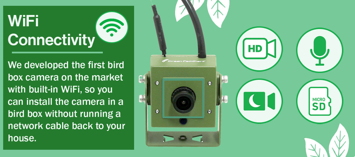 WiFi Bird Box Camera - WiFi Nest Box Camera | Green Feathers