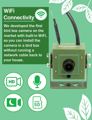 WiFi Side View Bird Box Camera Ultimate Bundle | Green Feathers
