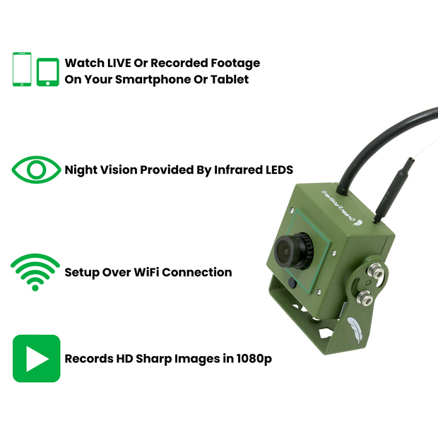 WiFi Bird Box Camera - WiFi Nest Box Camera | Green Feathers