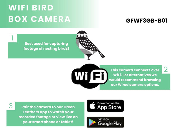 WiFi Side View Bird Box Camera Ultimate Bundle | Green Feathers