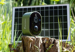 Wildlife Cameras & Bird Watching Equipment – Green Feathers