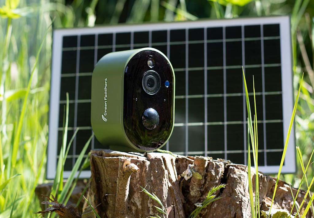 Solar Powered Wi-Fi Bird Box Camera | Green Feathers
