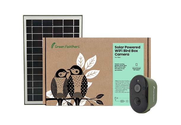 Solar Powered Wi-Fi Bird Box Camera | Green Feathers