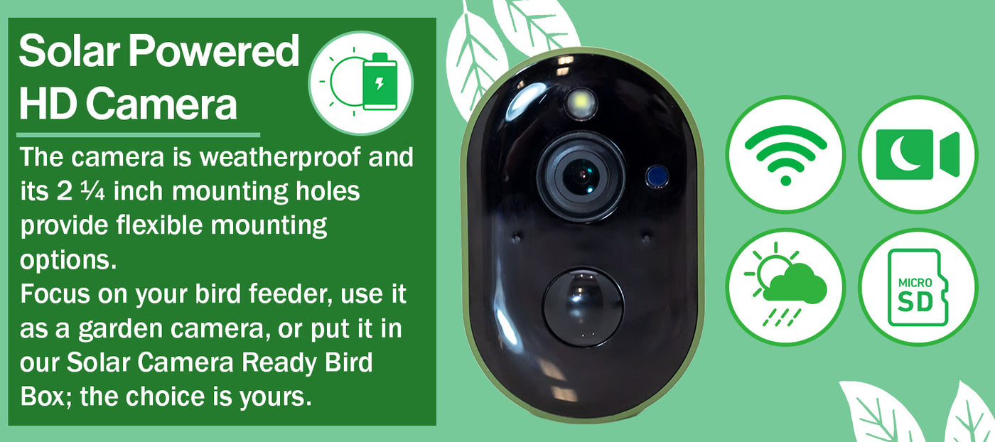 Solar Powered Wi-Fi Bird Box Camera | Green Feathers