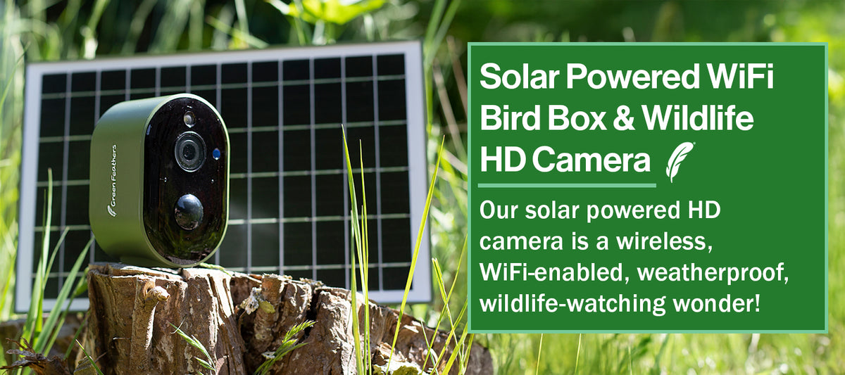 Solar Powered Wi-Fi Bird Box Camera | Green Feathers