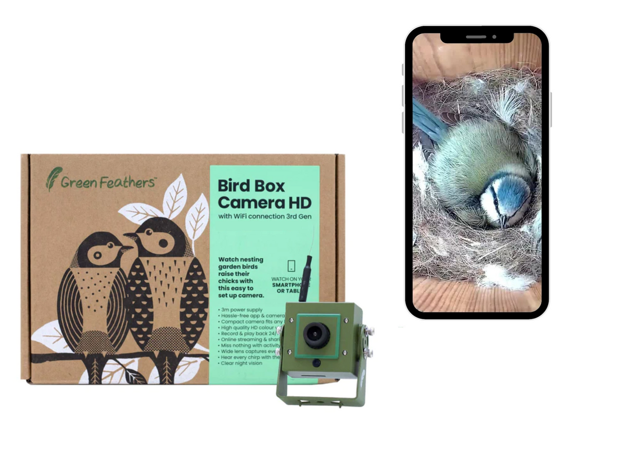 WiFi Bird Box Camera - WiFi Nest Box Camera | Green Feathers