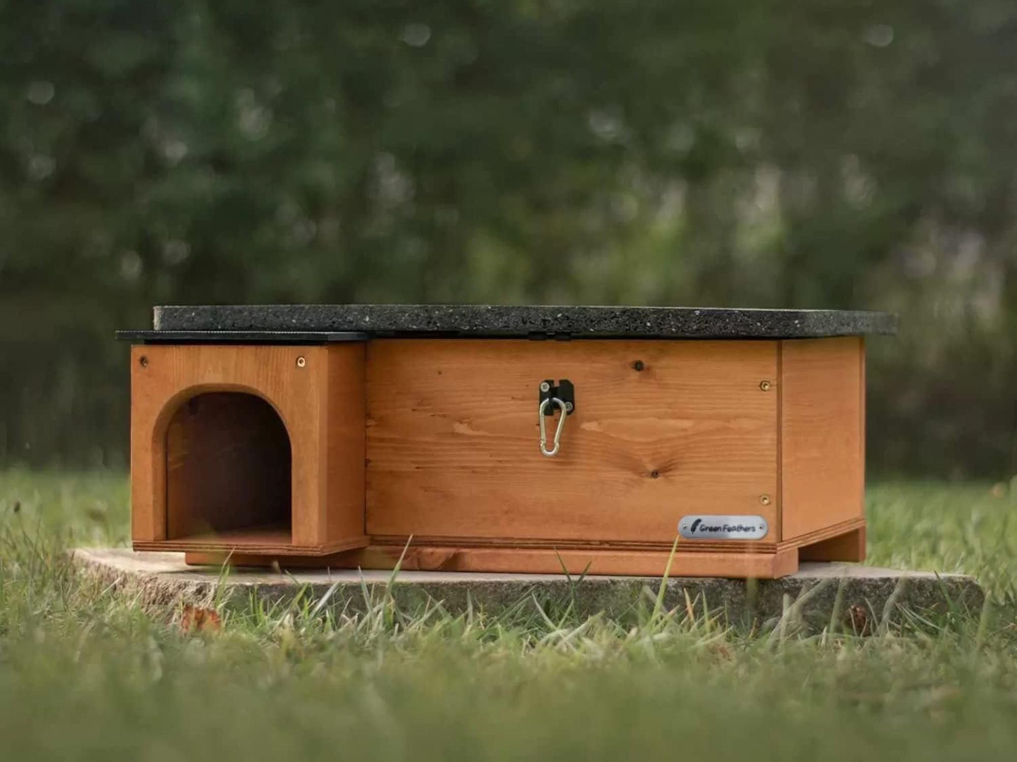 Hedgehog Box Cameras | Green Feathers