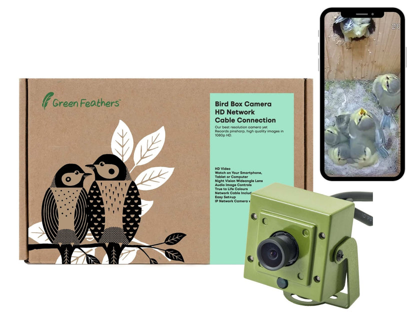 Wired Bird Box Cameras | Green Feathers