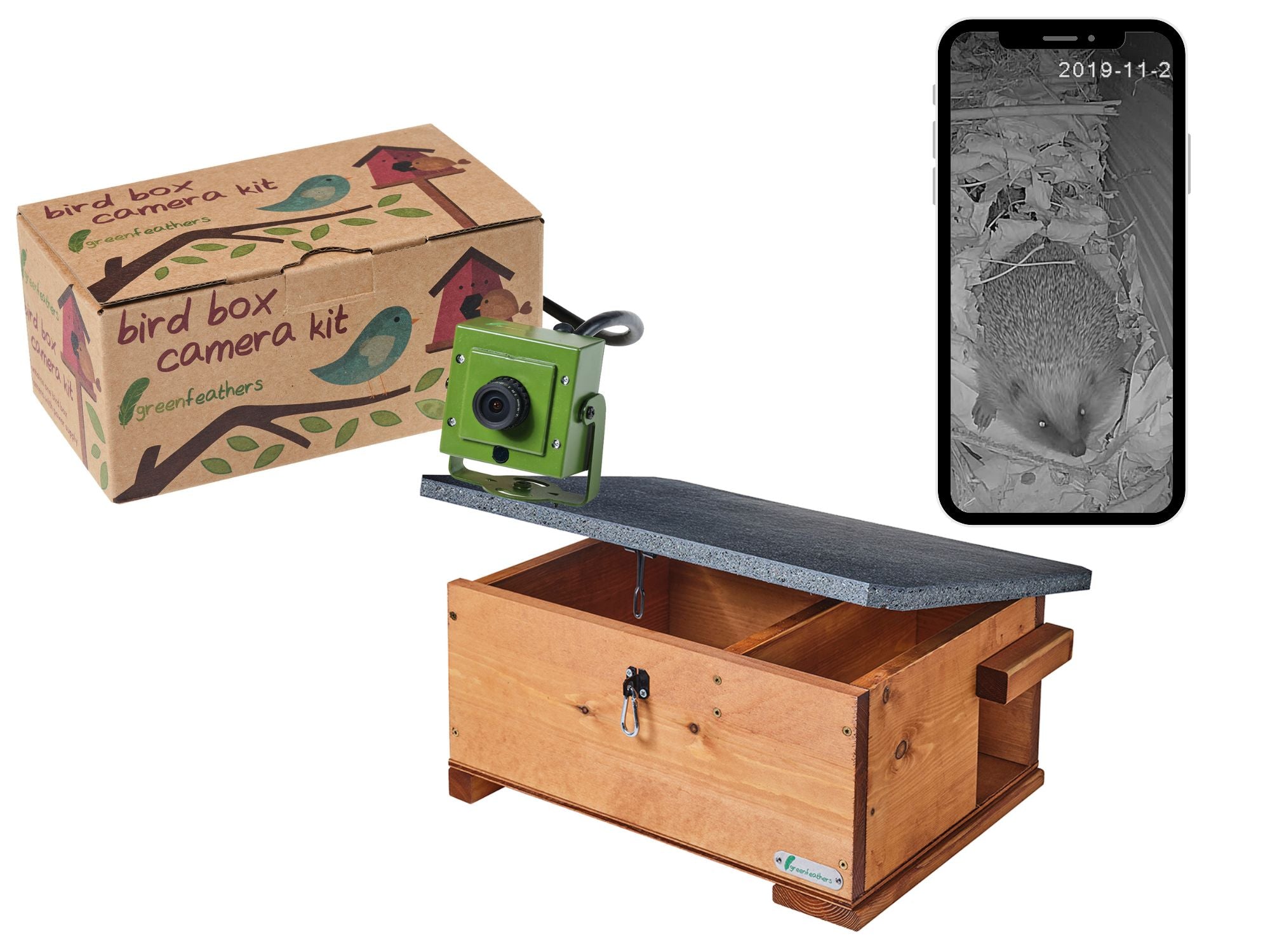 Hedgehog Box Cameras | Green Feathers