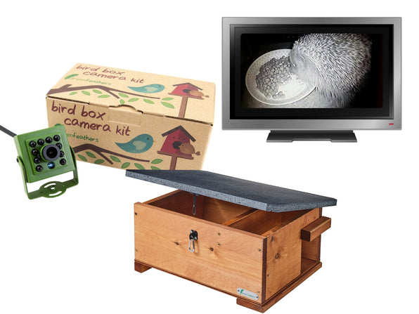 Hedgehog Nest Box Cameras | Green Feathers
