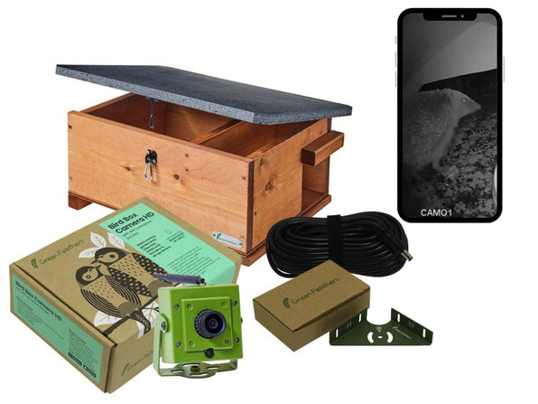 Hedgehog Box Cameras | Green Feathers