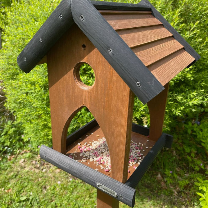 8 Tips The Best Place For Your Bird Box - When How & Where | Green Feathers