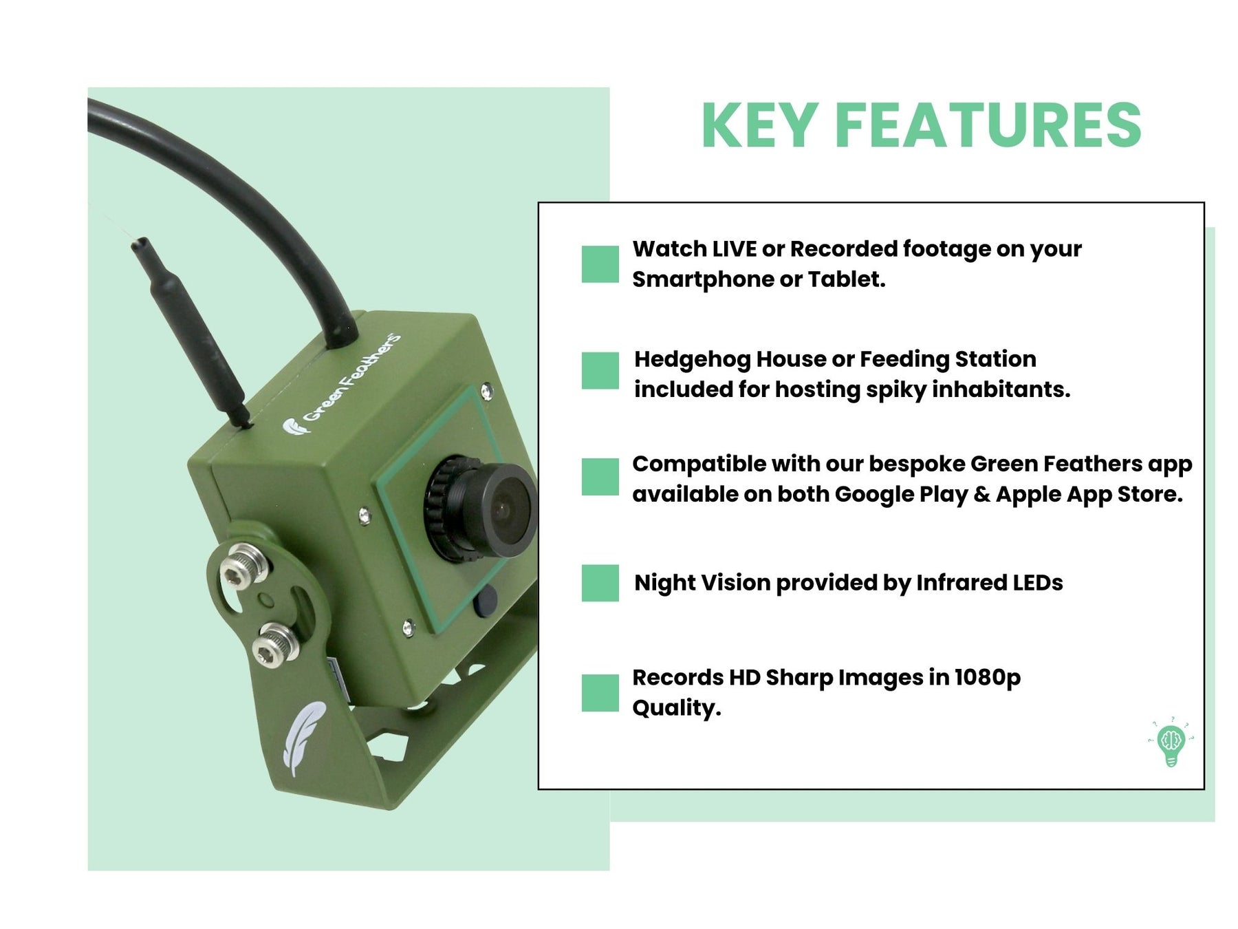 Hedgehog House with WiFi Camera Kit | Green Feathers