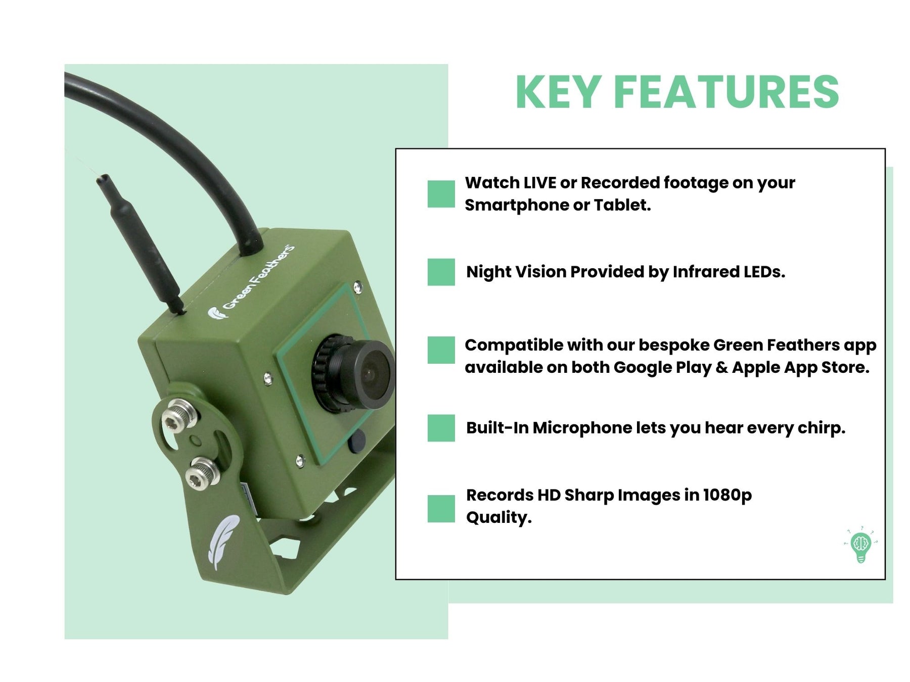 WiFi Side View Bird Box Camera Ultimate Bundle | Green Feathers