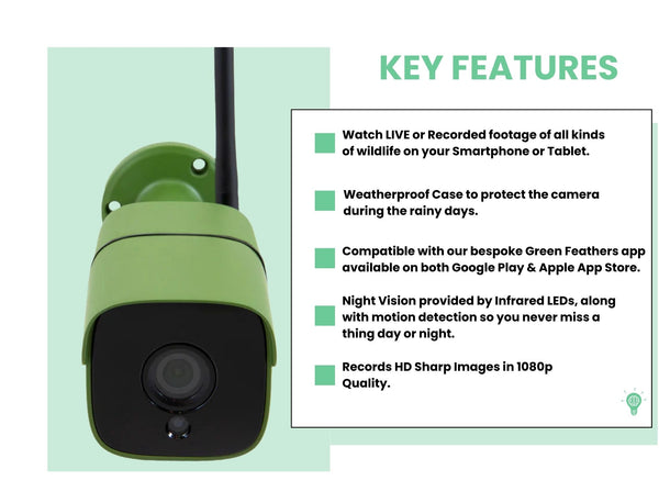 WiFi Wildlife Camera & Garden Night Vision | Green Feathers