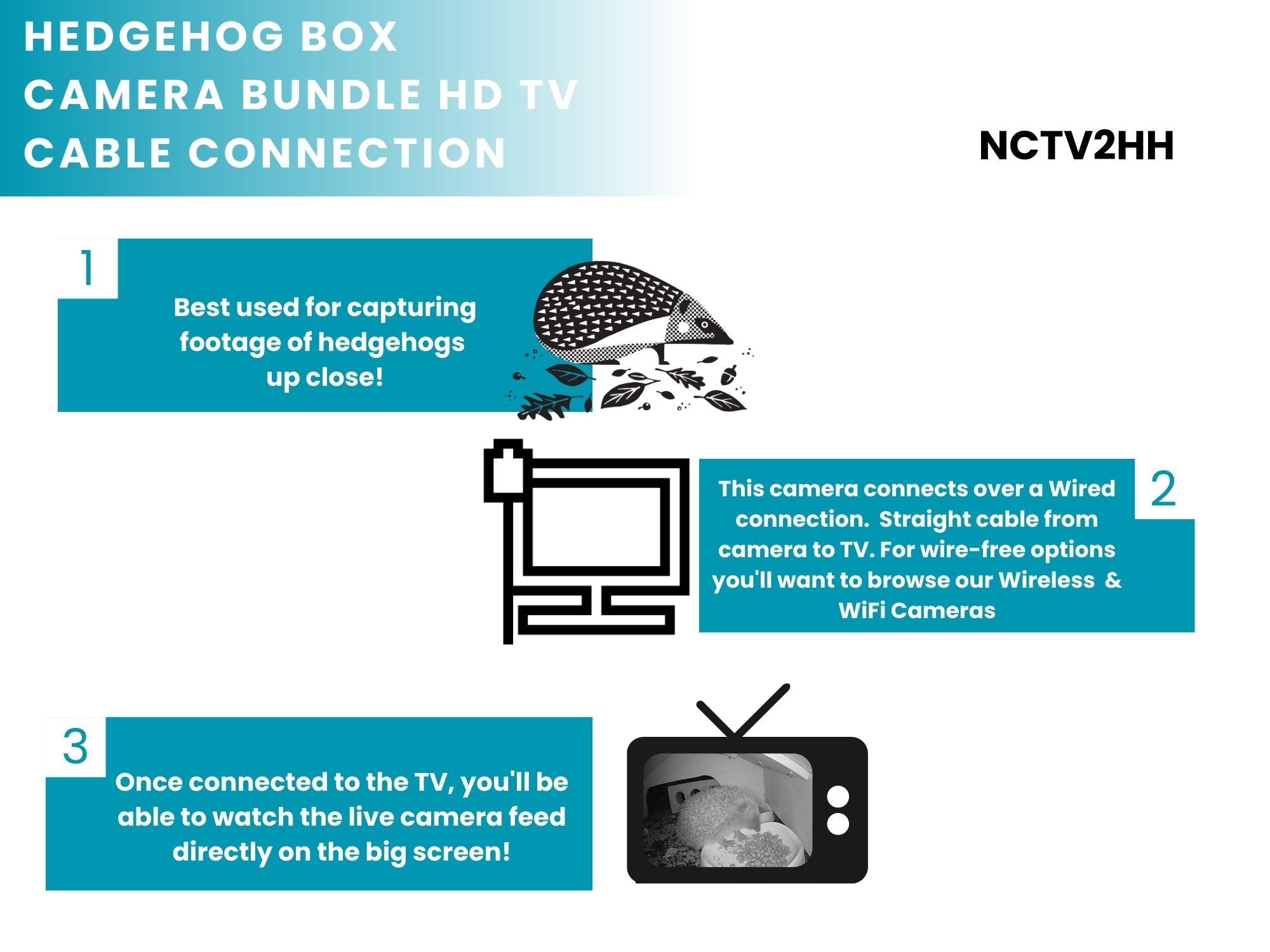 Hedgehog Box Cameras | Green Feathers