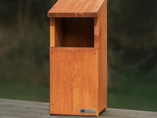 8 Tips The Best Place For Your Bird Box - When How & Where | Green Feathers