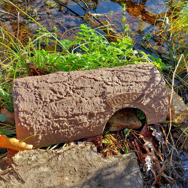 Frog Log – Green Feathers