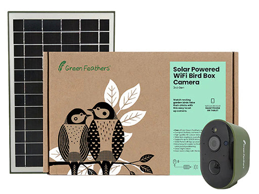 8 Tips The Best Place For Your Bird Box - When How & Where | Green Feathers