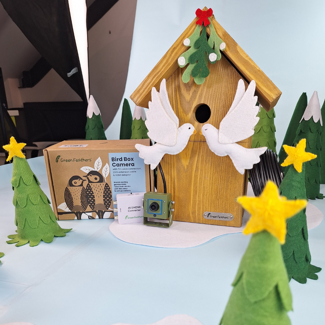 Garden Wildlife Cameras | Green Feathers