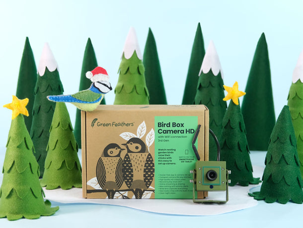 WiFi Bird Box Camera - WiFi Nest Box Camera | Green Feathers