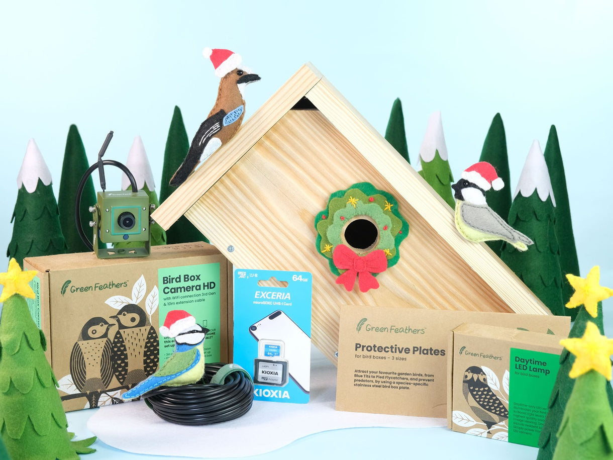 WiFi Side View Bird Box Camera Ultimate Bundle | Green Feathers