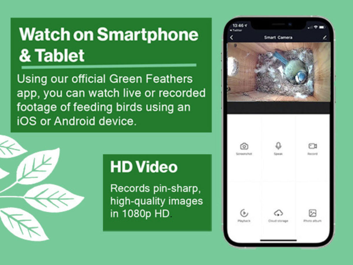 Solar Powered Wi-Fi Bird Box Camera | Green Feathers