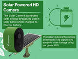 Solar Powered Wi-Fi Bird Box Camera | Green Feathers