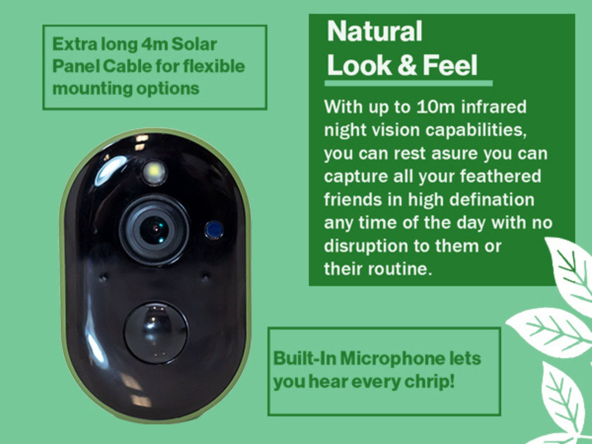 Solar Powered Wi-Fi Bird Box Camera | Green Feathers
