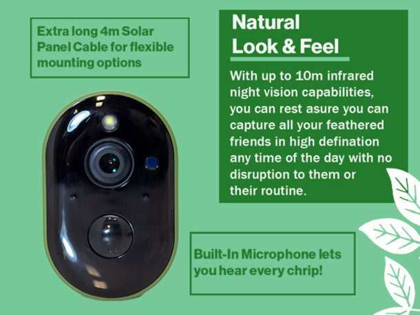 Solar Powered Wi-Fi Bird Box Camera | Green Feathers