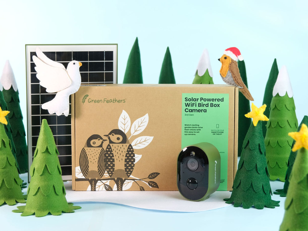 Solar Powered Wi-Fi Bird Box Camera | Green Feathers