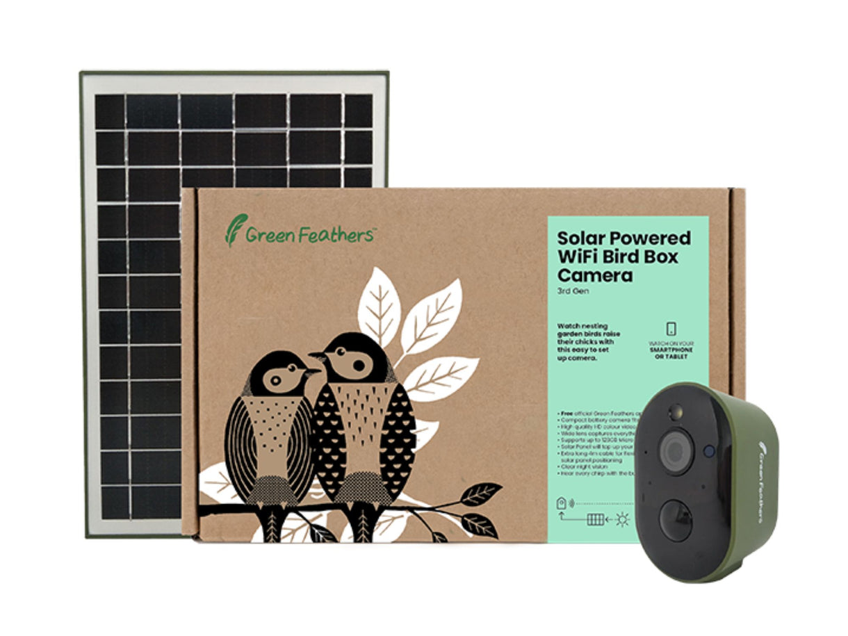 Solar Powered Wi-Fi Bird Box Camera | Green Feathers