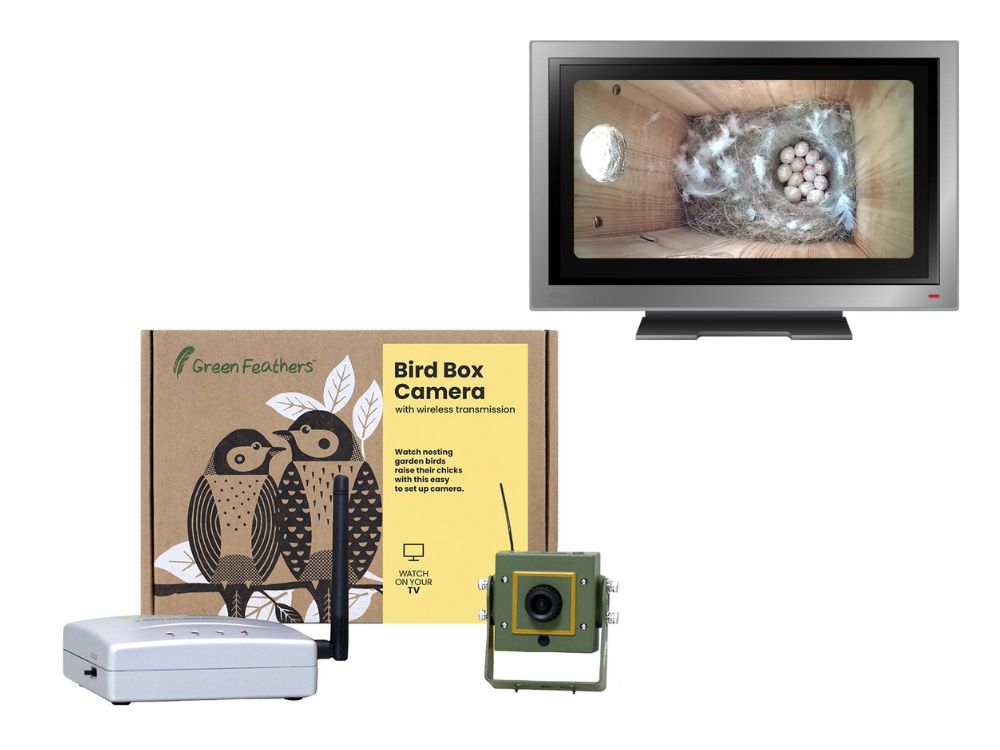 Bird Box & Wildlife Camera with Wireless Transmission – Green Feathers