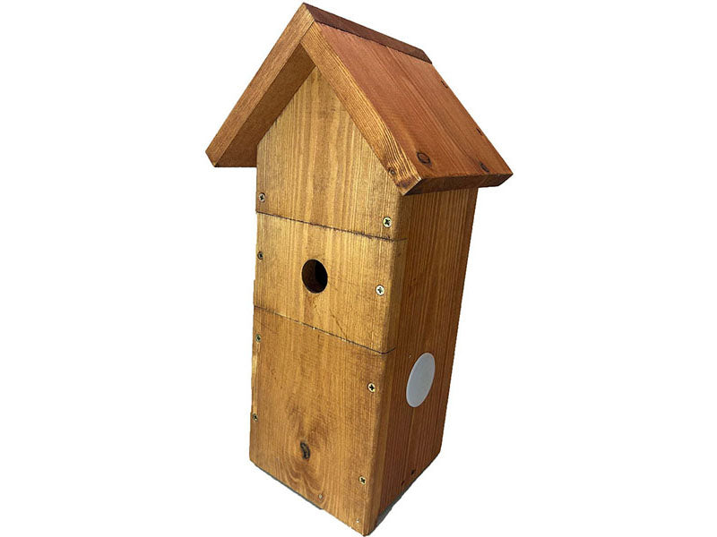 Garden Wildlife Cameras | Green Feathers