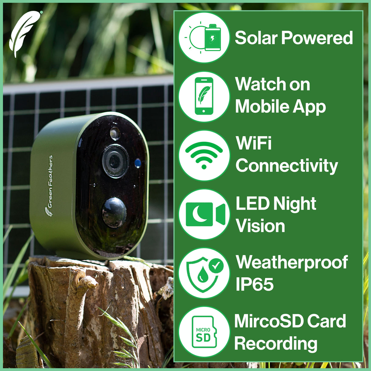 Solar Powered Wi-Fi Bird Box Camera | Green Feathers