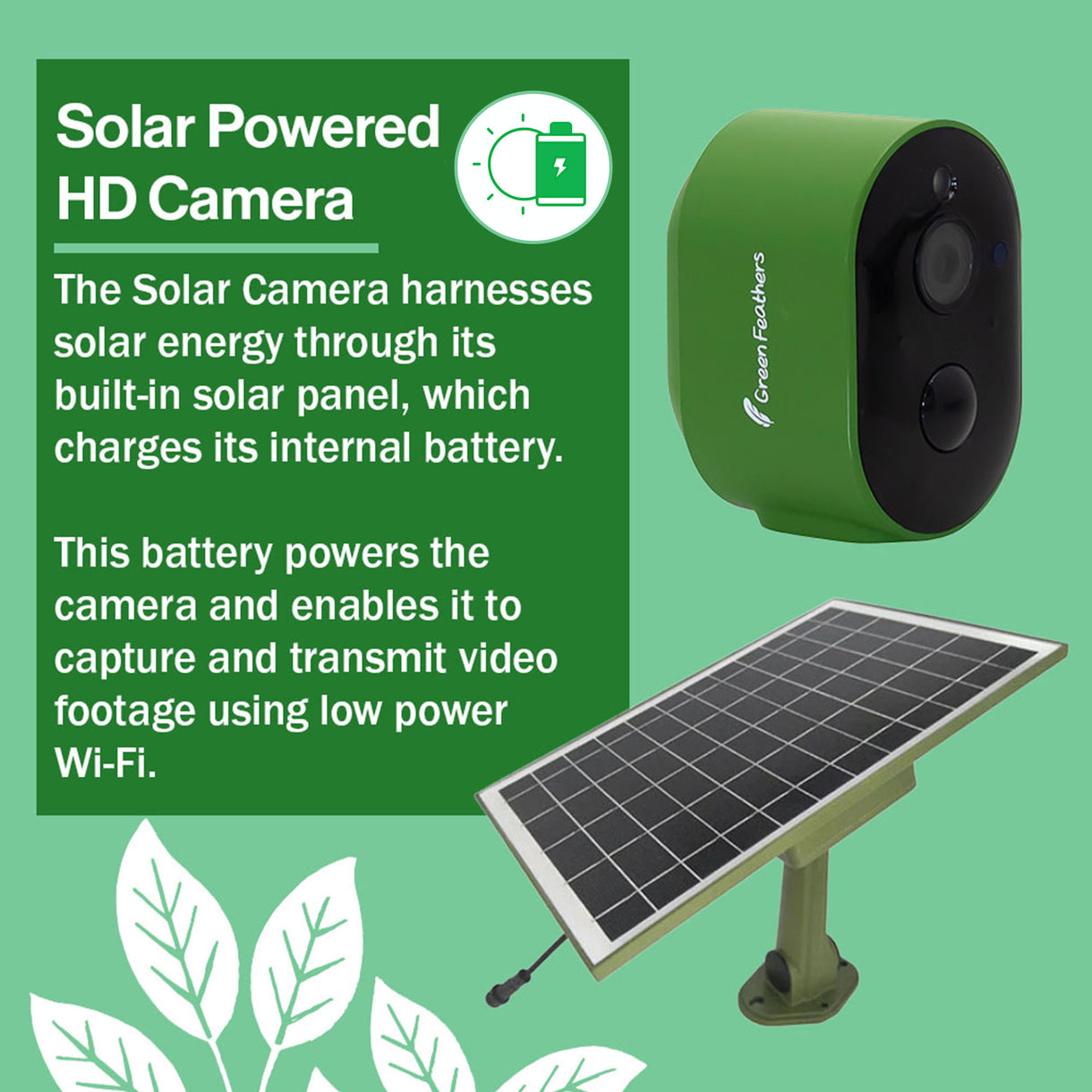 Solar Powered Wi-Fi Bird Box Camera | Green Feathers