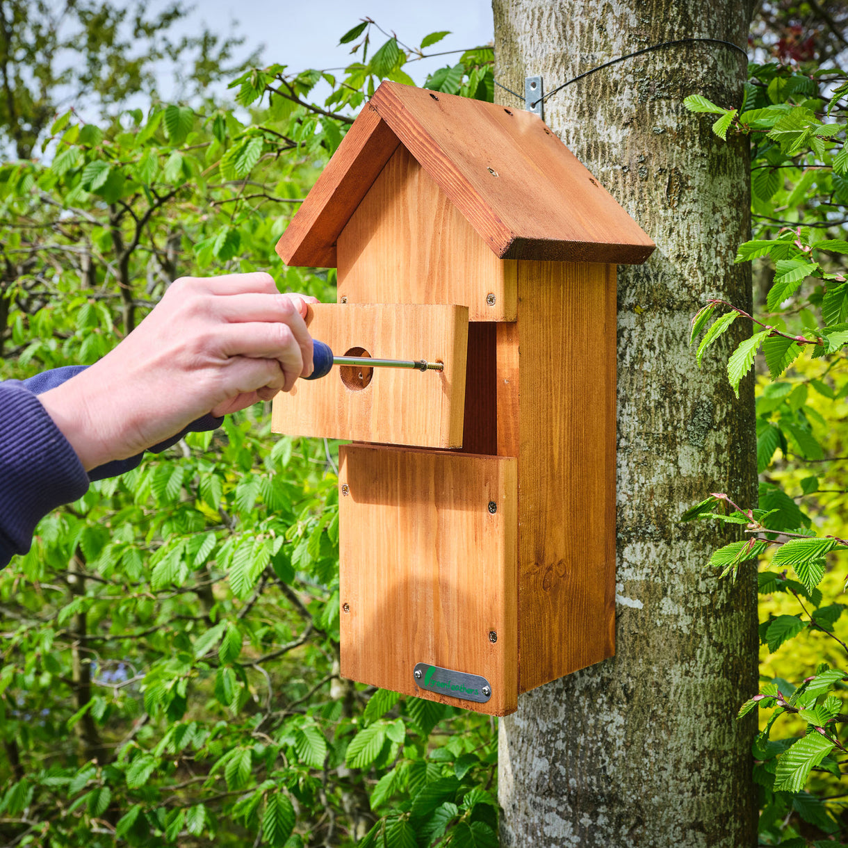 HD Bird Box Camera Kit 1080p WiFi - Complete Set | Green Feathers